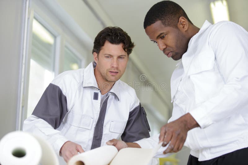 Two Men Worker Holding Wallpaper Roll Stock Photo - Image of closeup ...