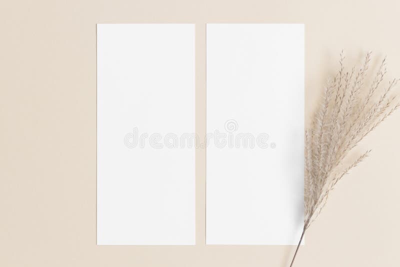 Two Menu Cards Mockup with a Reed Pampas Deocoration, 4x9 Ratio Stock ...