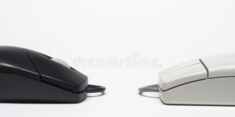 Two Mice stock photo. Image of pointing, device, team - 1071070