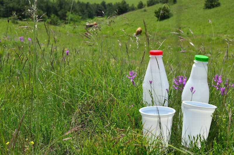 Two Plastic Bottles and Cups in Meadow Stock Image - Image of natural ...