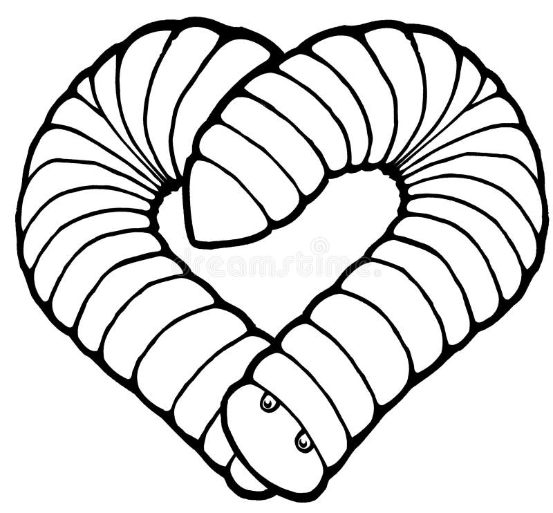 Cute Millipedes Stock Illustrations – 10 Cute Millipedes Stock ...