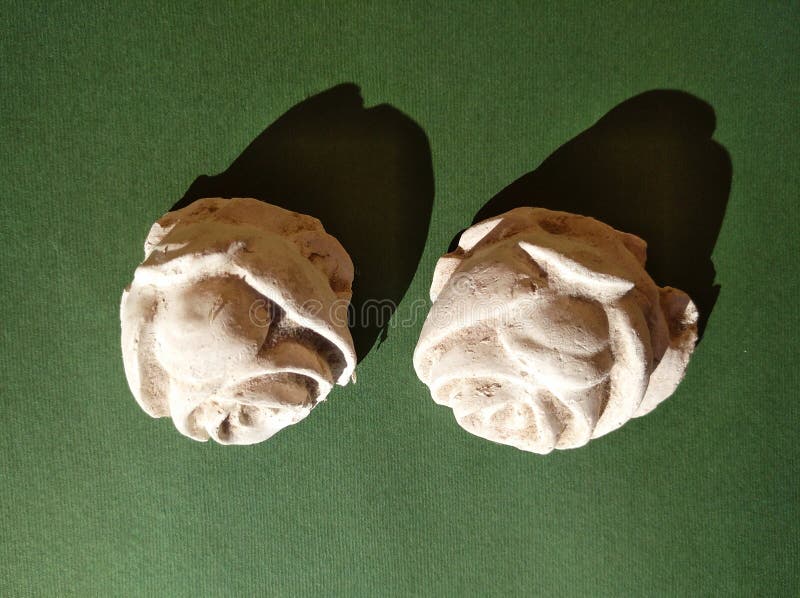 Two Modeling Clay White Roses on Green Background Stock Image - Image ...