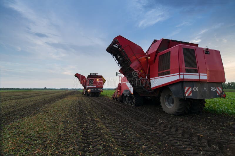 Two Modern Red Combine Harvesters Harvest of Sugar Stock Image - Image ...