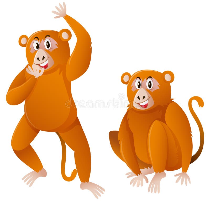 Two monkeys with brown fur stock vector. Illustration of gibbon - 91695153