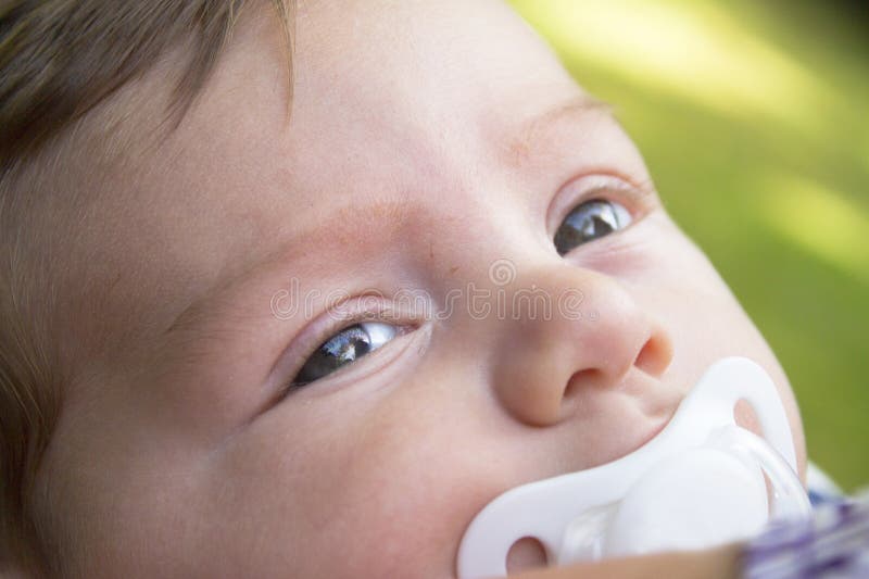 Two Month Old Baby with Pacifier Stock Image - Image of cute, birth ...