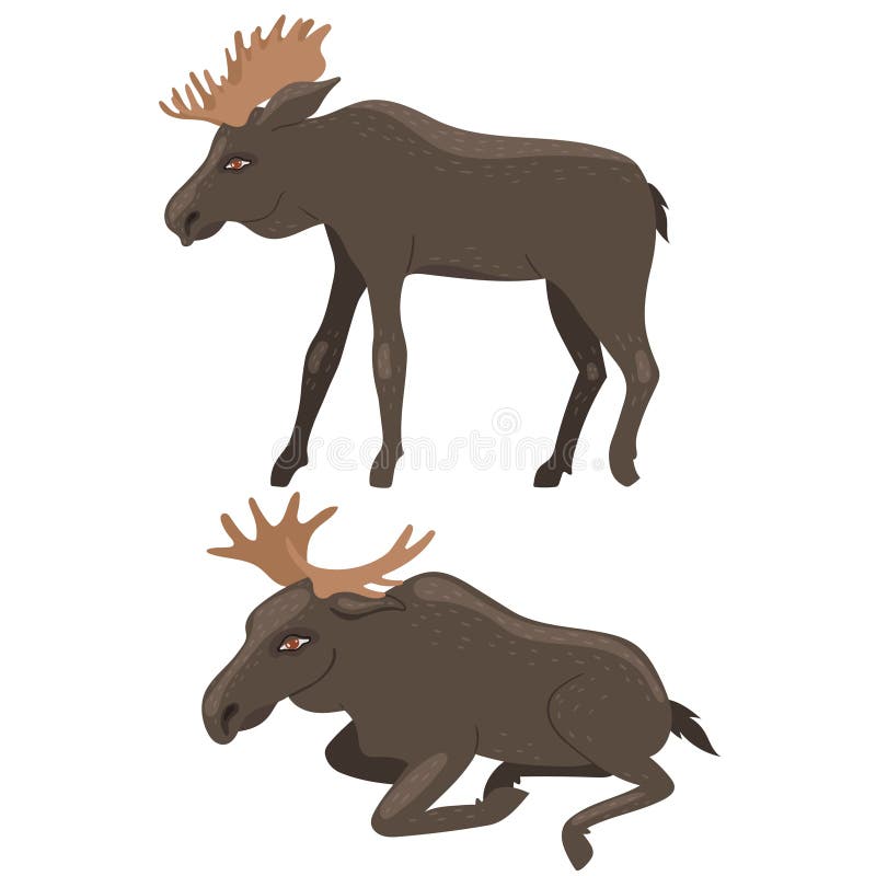 Moose Two Stock Illustrations – 264 Moose Two Stock Illustrations ...