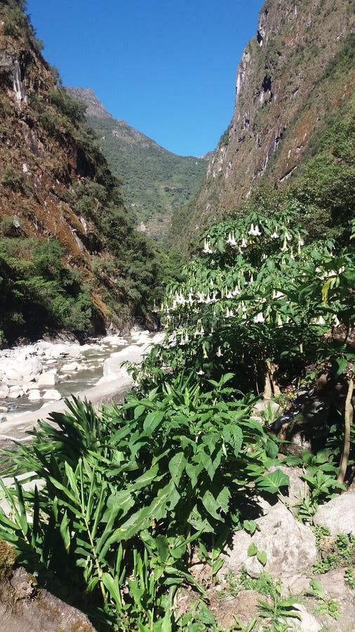 Between two mountains stock image. Image of cuzco, vegetation - 123470187
