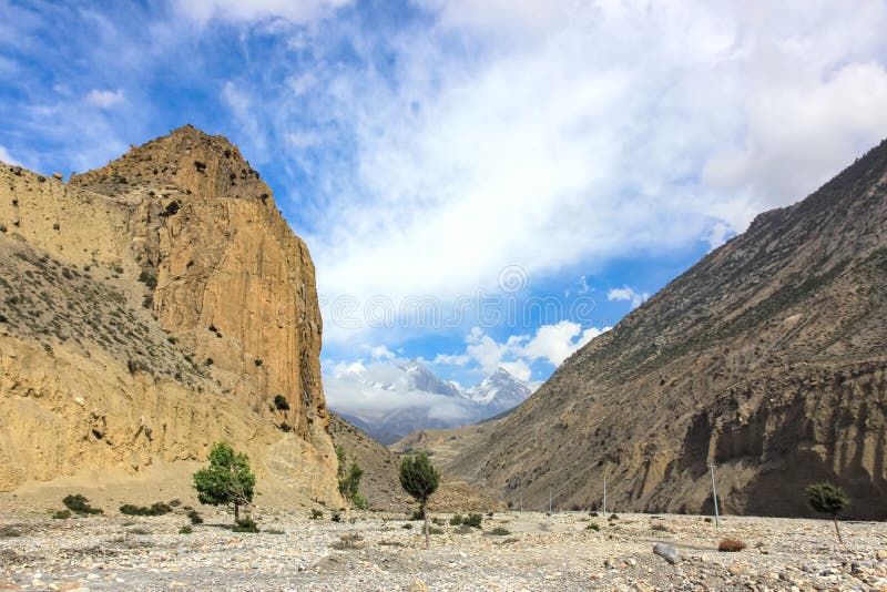 Two Mountains and Two Trees on a Background of Blue Sky with Clouds ...