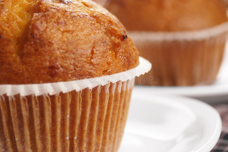 Two muffins stock image. Image of tasty, baked, fresh - 26674213