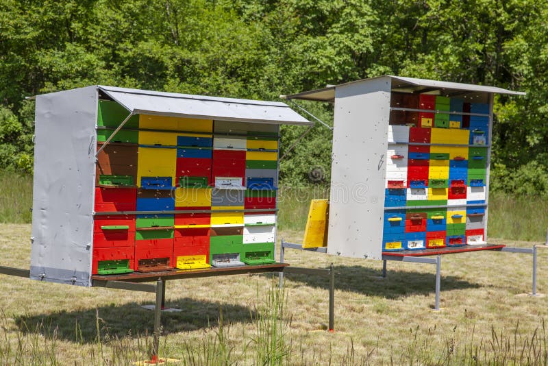 Apiary in a Meadow in the Langhe, Piedmont - Italy Stock Image - Image ...
