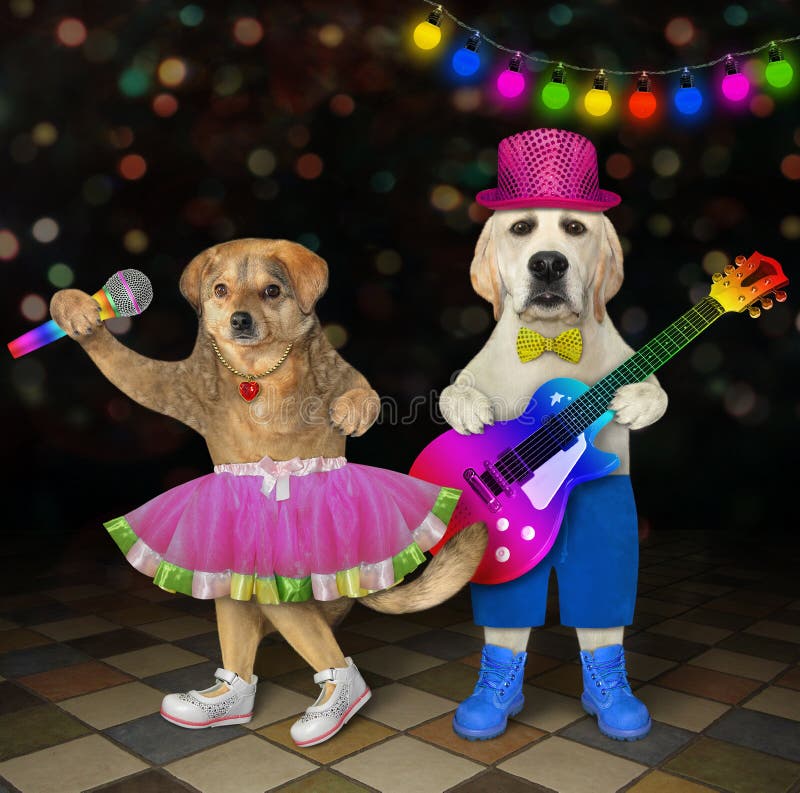 Two dogs perform on stage stock photo. Image of animal - 204472398