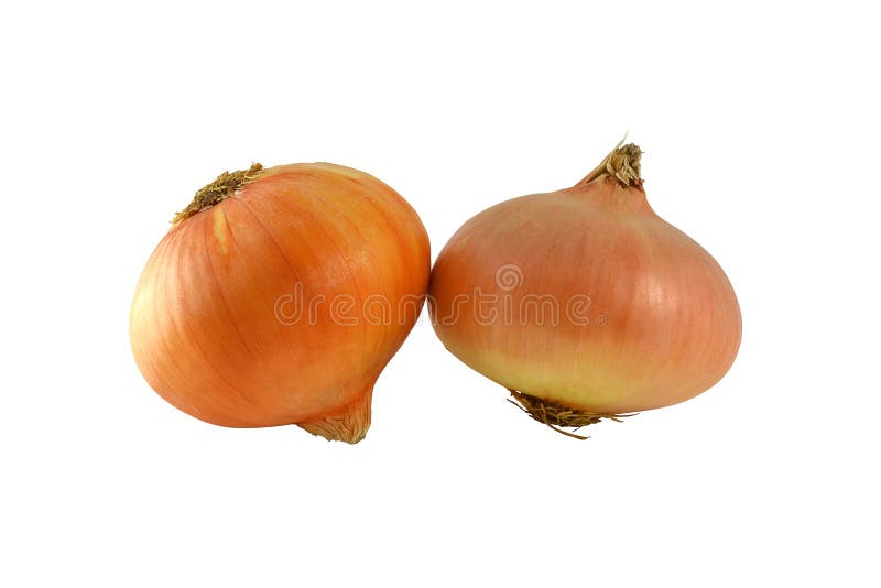 424 Napiform Stock Photos - Free & Royalty-Free Stock Photos from ...