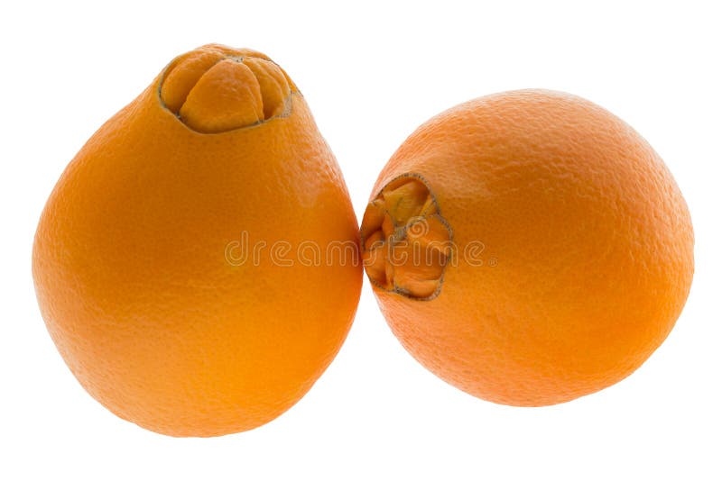 Navel Oranges. Close-up of Navel Oranges. Stock Image - Image of round ...
