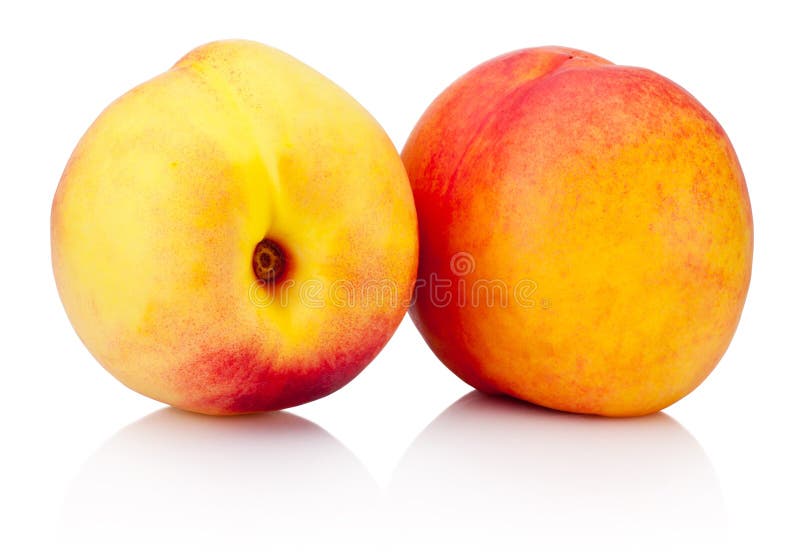Nectarine fruit stock photo. Image of round, juicy, sweet - 42927510