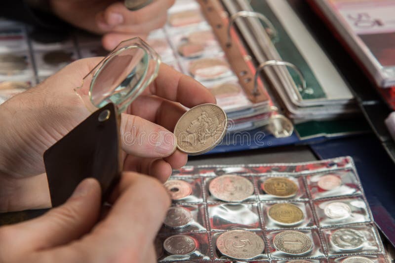Two Numismatists Examines Collection of Coin Stock Photo - Image of ...