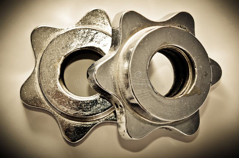 Two nuts stock photo. Image of shiny, small, business - 30454096