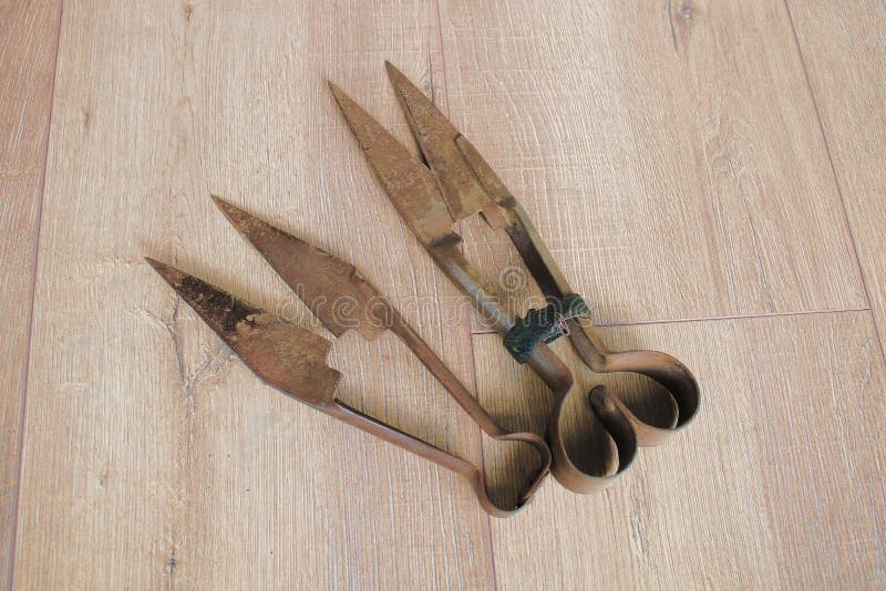 Two Old Manual Mechanical Primitive Shears for Shearing Sheeps Wool ...