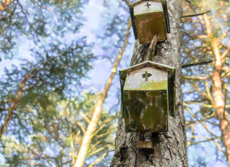 Two Old Not Accepted Nesting Boxes at the Trunk of a Pine in the Forest ...