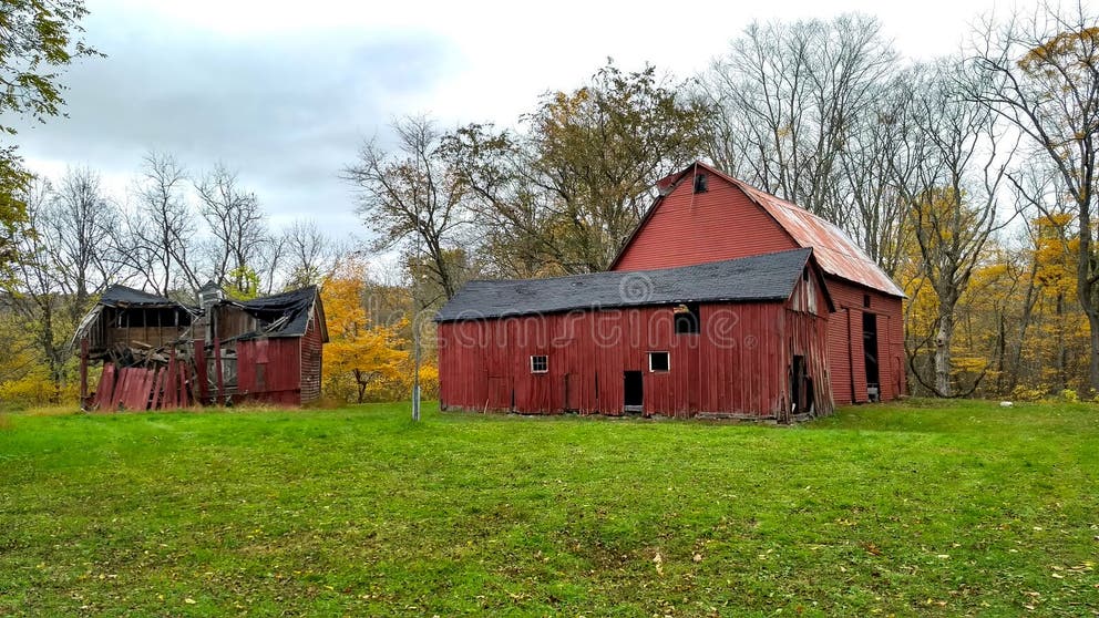 Two Old Red Barns in a Green Field Stock Image - Image of roof ...