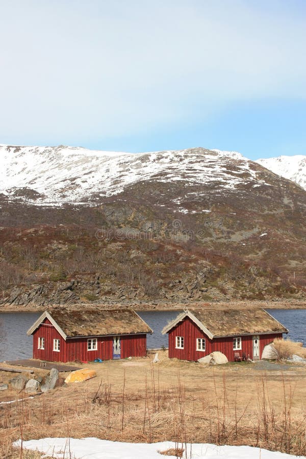 Two Old Traditional Rorbu with Grass on the Roof Stock Photo - Image of ...