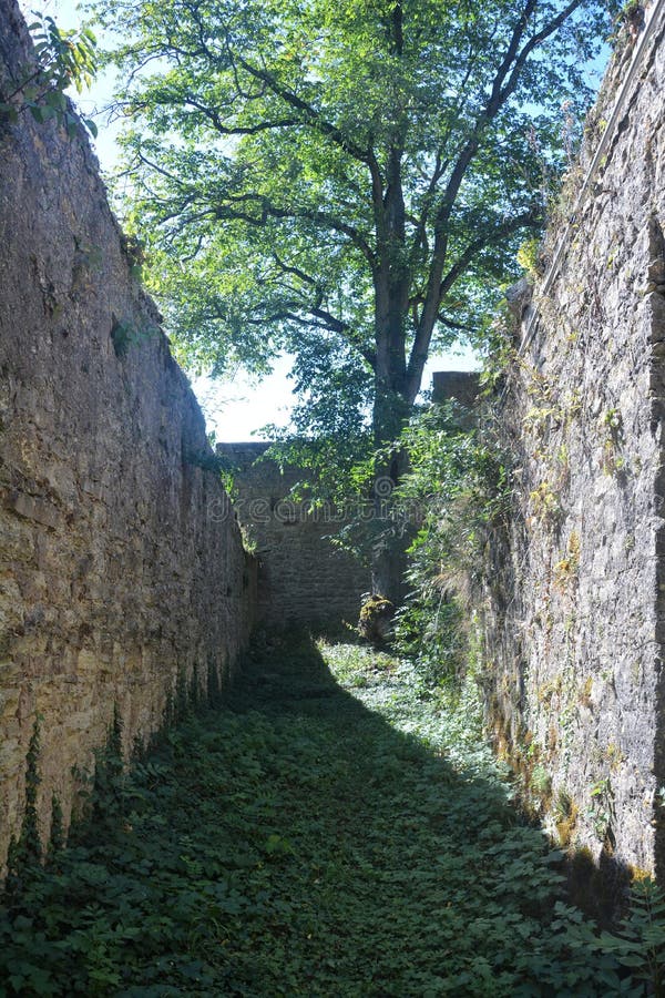 Two Old Walls of a Castle Ruins with Tree Stock Image - Image of ruins ...