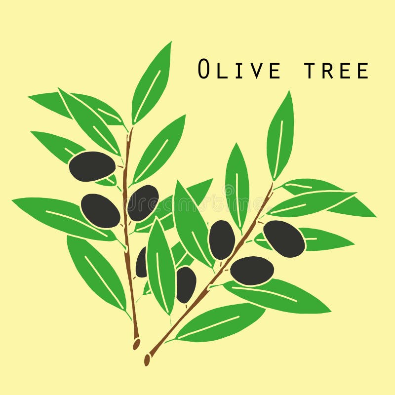Two Olives Branches Stock Illustrations – 17 Two Olives Branches Stock ...