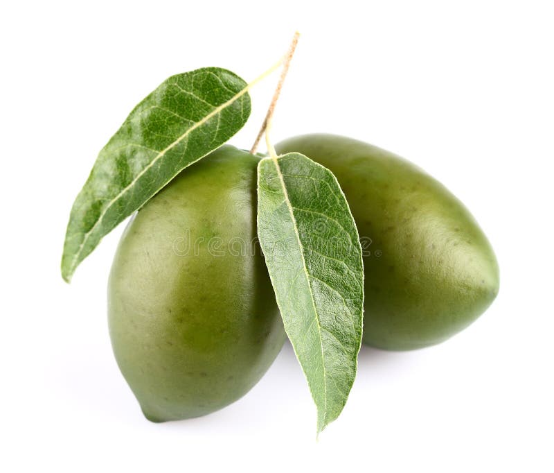 Two olives with leaf stock image. Image of green, gourmet - 27190805