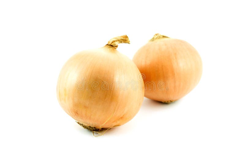 Two onions stock image. Image of bulb, strength, full - 12069453