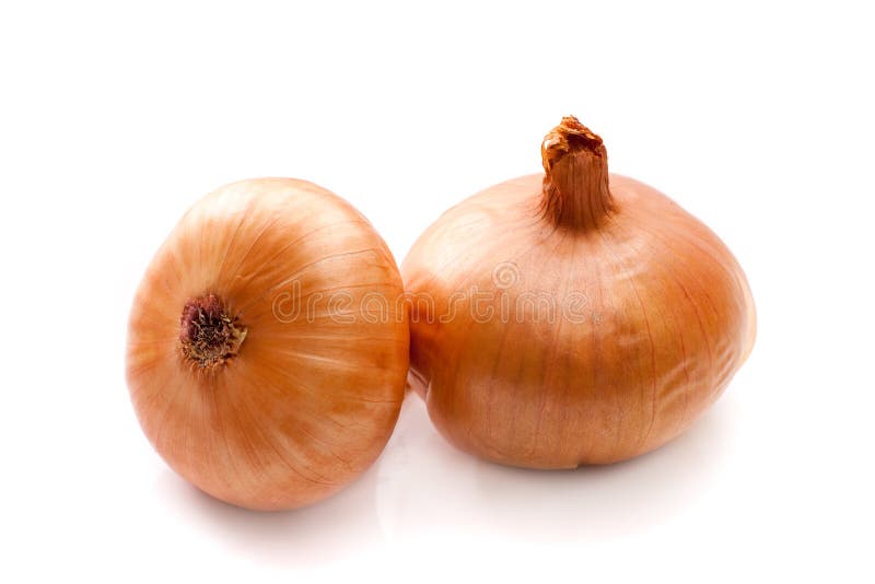Two onions stock image. Image of vegetable, healthy, cooking - 12286919