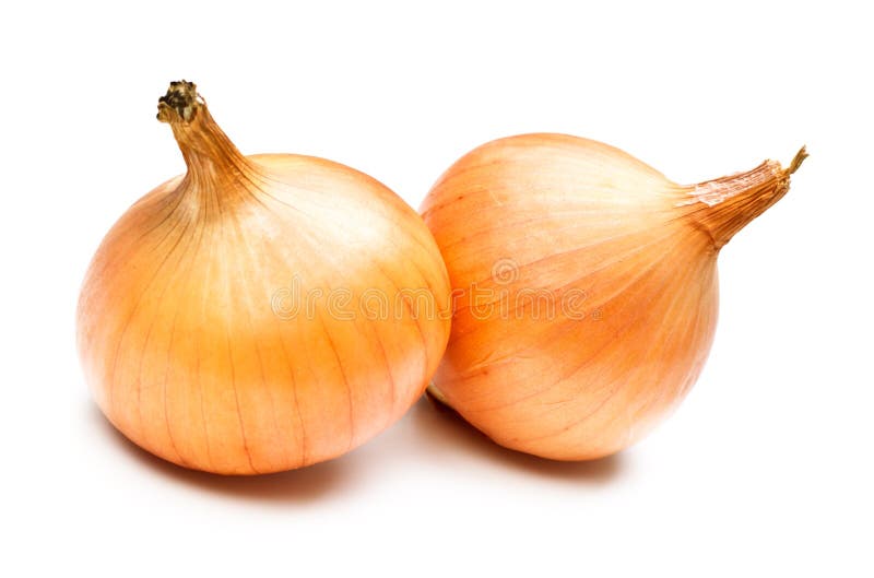 Yellow Onions stock photo. Image of harvest, fresh, garden - 1142514