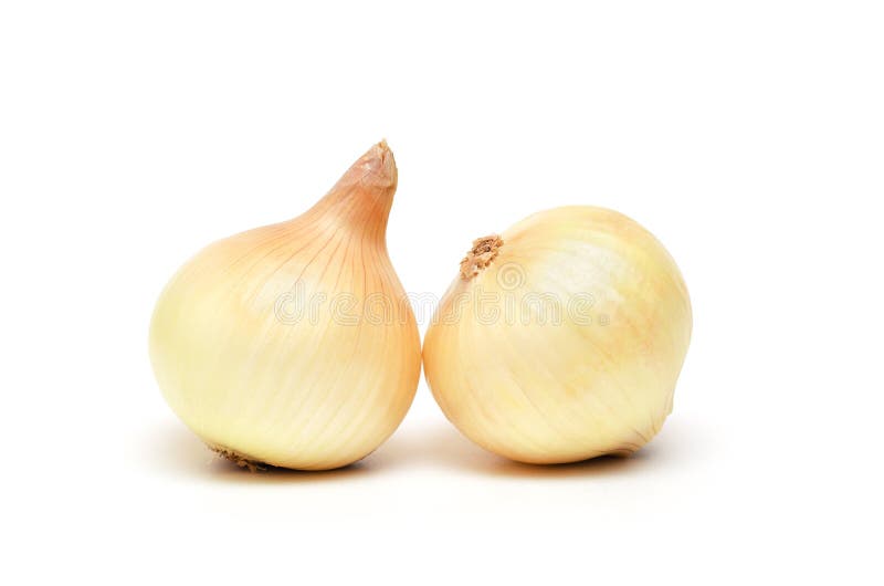 Two Onions stock photo. Image of studio, agriculture - 28495386