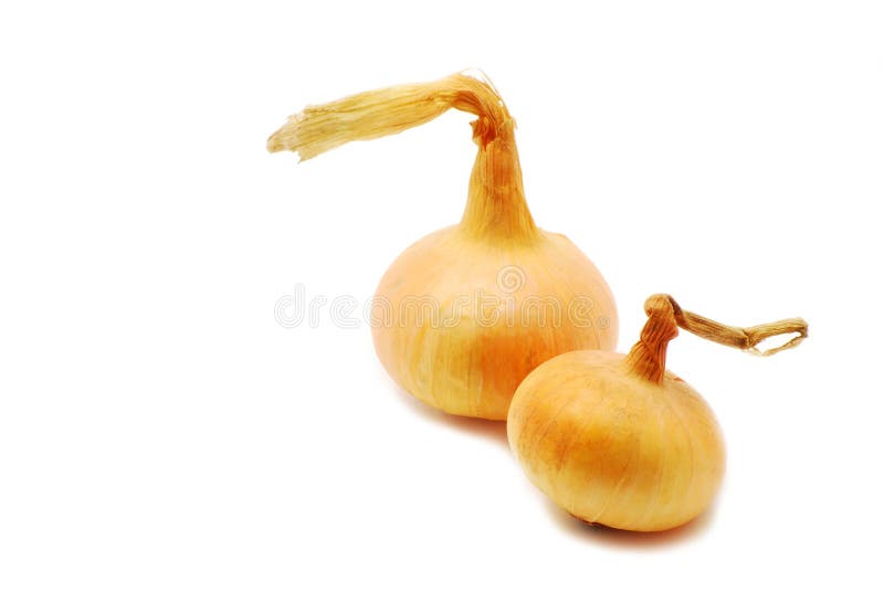 Two onions stock image. Image of yellow, vegetarian, healthy - 29178107