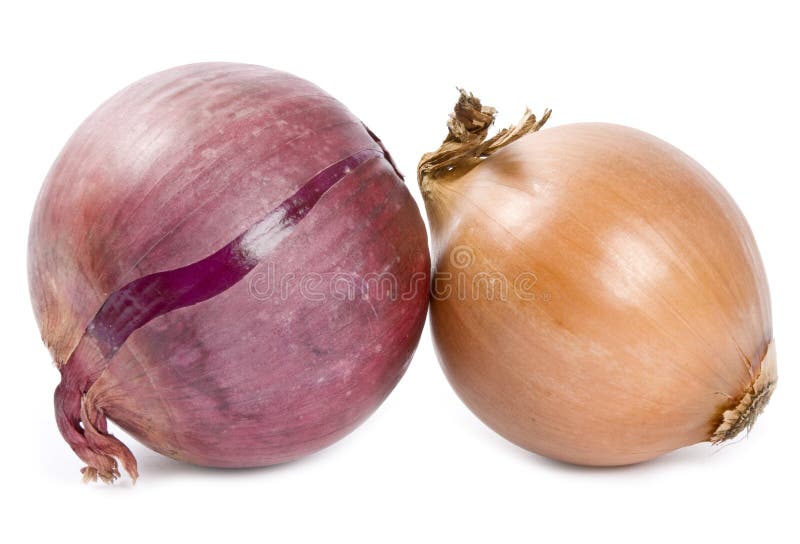 Two Onions stock photo. Image of food, onions, vegetable - 8582446