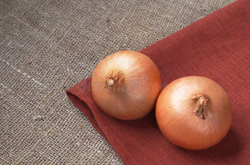 Two onions closeup stock photo. Image of fabric, healthy - 77622912