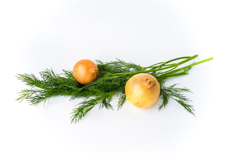Two Onions and Dill Isolated on White Stock Image - Image of brown ...