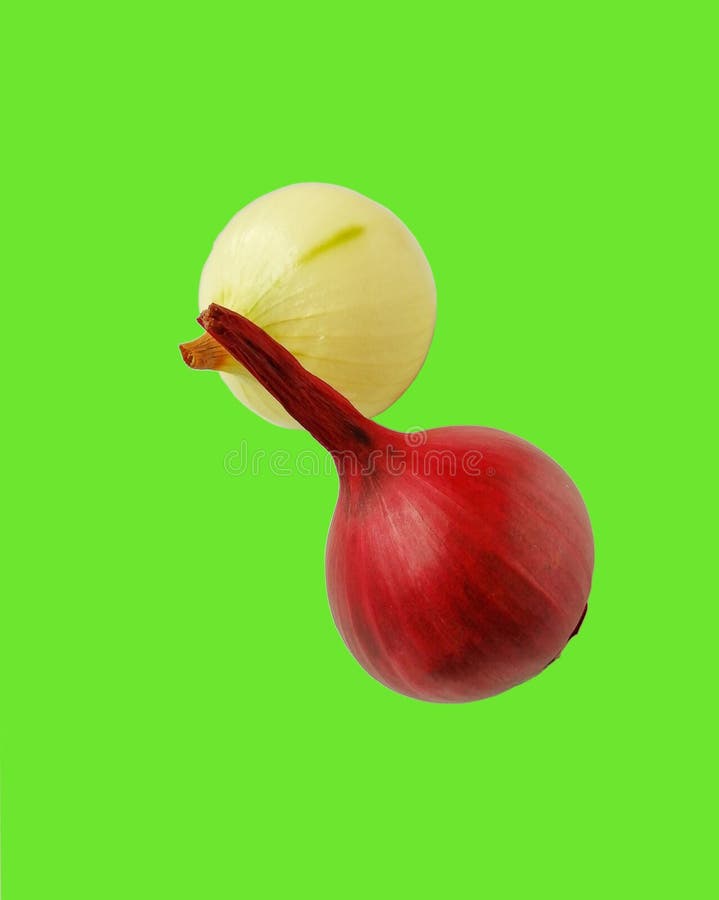 Two Onions on a Green Background Stock Image - Image of healthy ...