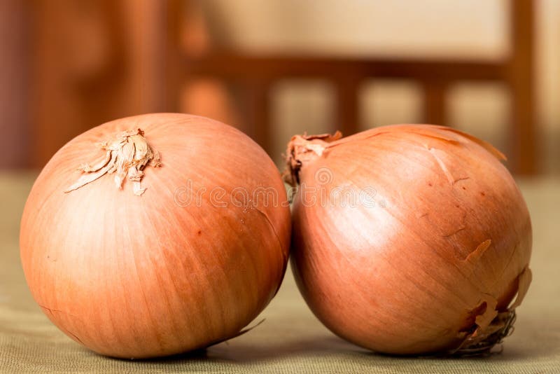 Two onions stock photo. Image of cooking, agriculture - 38331730