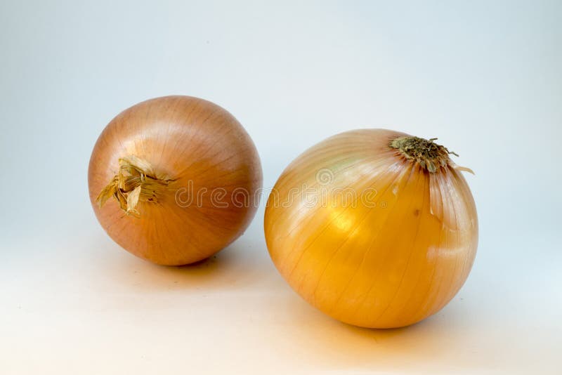 Two Onions on a White Background, Isolated Stock Photo - Image of gold ...