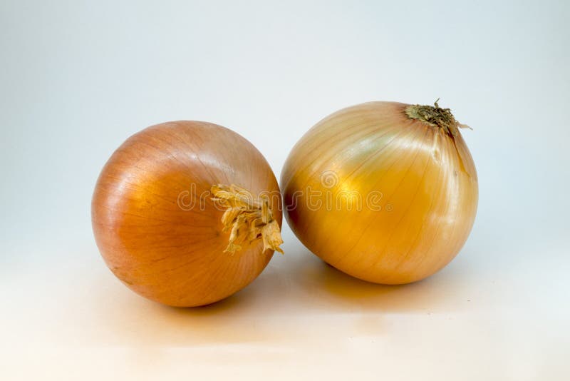 Two Onions on a White Background, Isolated Stock Image - Image of ...