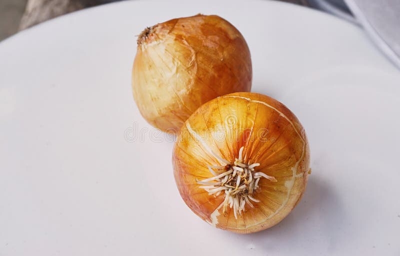 Two Onions on the White Table. Stock Photo - Image of cooking, ripe ...