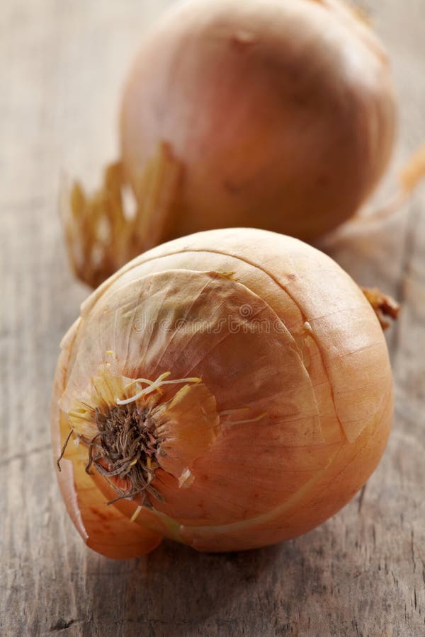 Two onions macro stock image. Image of vitamin, market - 29835959