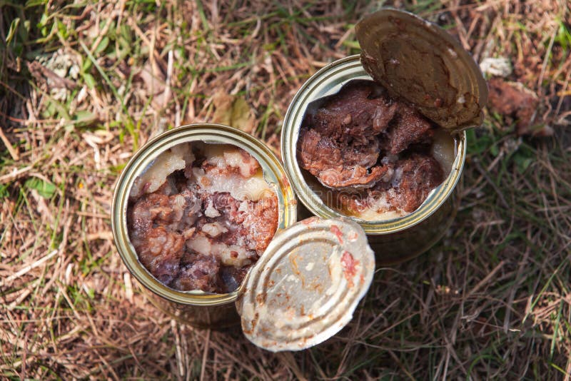 Food Cans On White Background Stock Photo - Image of ordinary, product ...