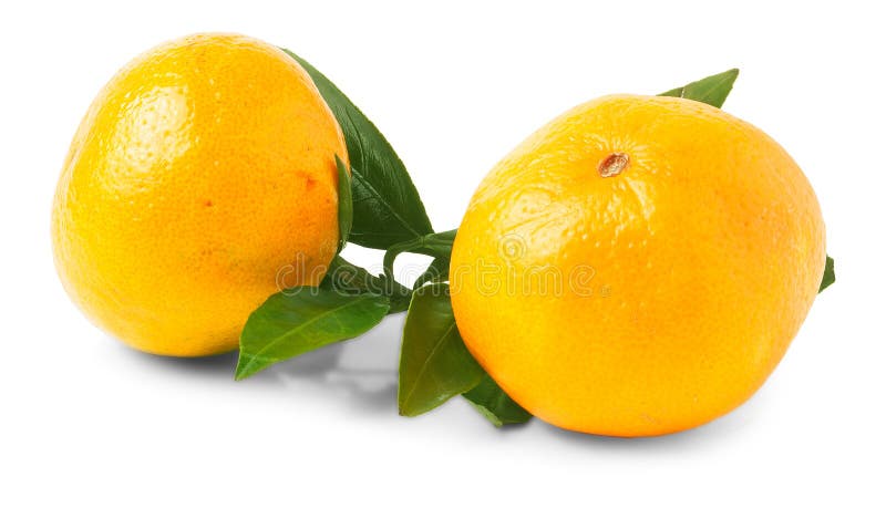 Two Orange Mandarins with Green Leaf Stock Photo - Image of juicy ...