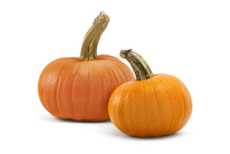 Two Pumpkins Isolated On White Background Stock Photo - Image of trick ...