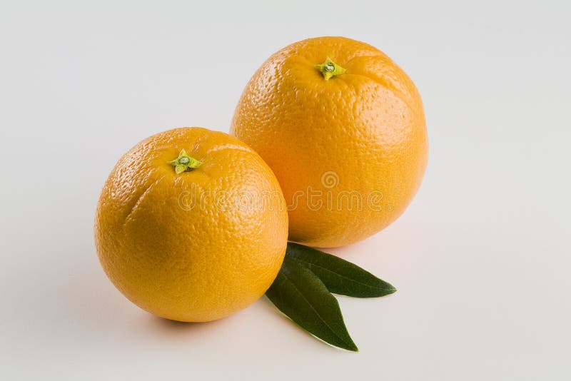 Two Oranges stock image. Image of isolated, white, orange - 13429209