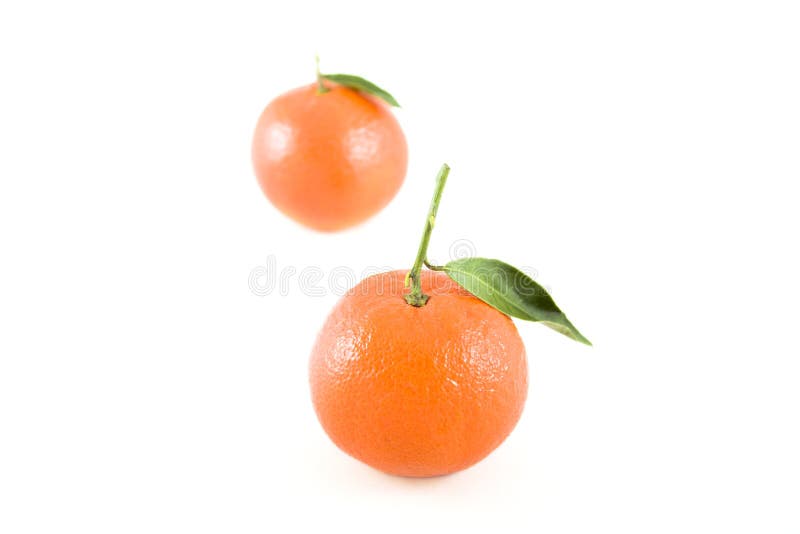 Two Oranges stock photo. Image of orange, fresh, food - 13880458