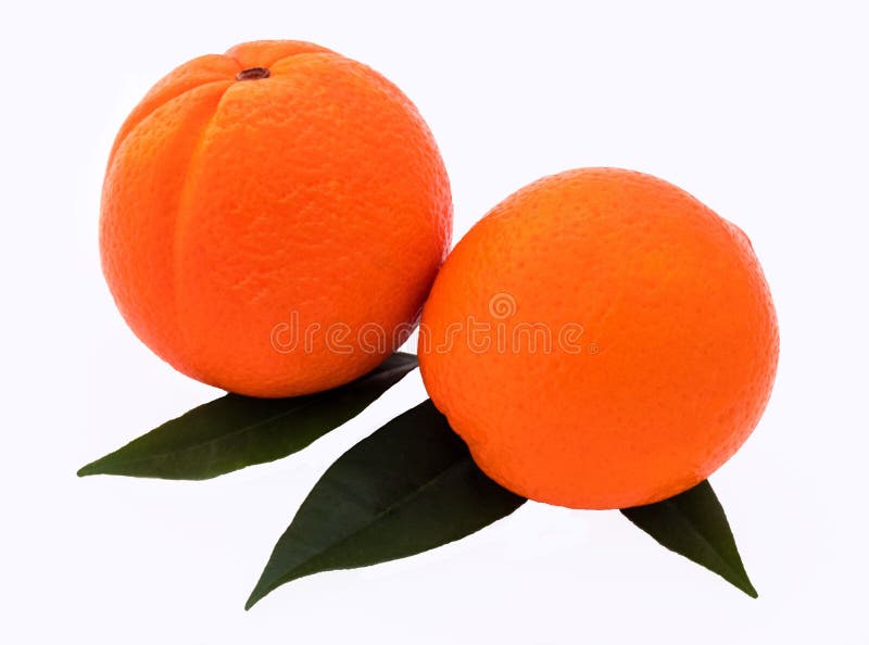 Two Oranges Close-up on Te White Background Stock Photo - Image of ...