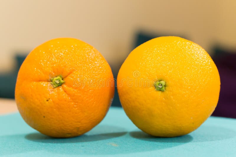 Two oranges stock photo. Image of table, health, fruit - 51043126