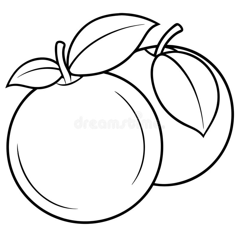 Two Oranges with Green Leaves on Top Stock Photo - Illustration of ...