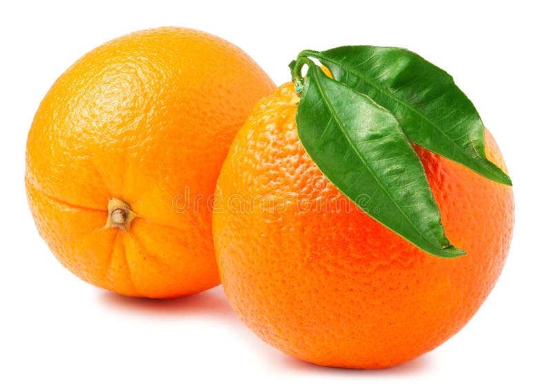 Two oranges stock image. Image of couple, color, fruits - 16321173